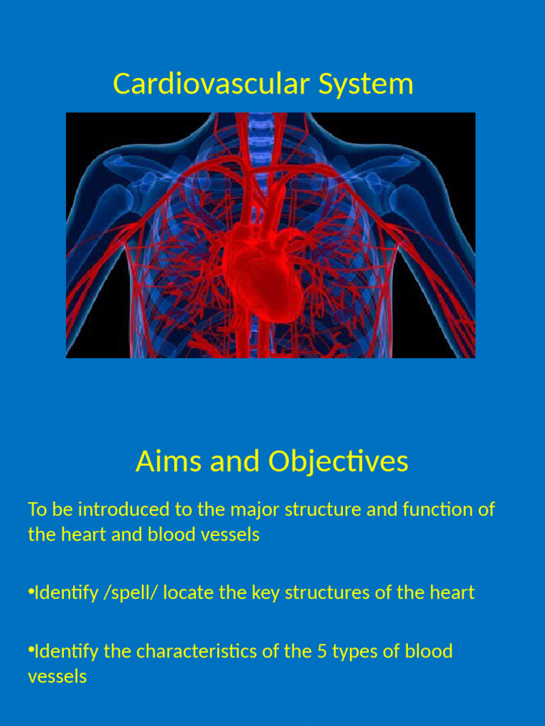4) Cardiovasular System | PDF