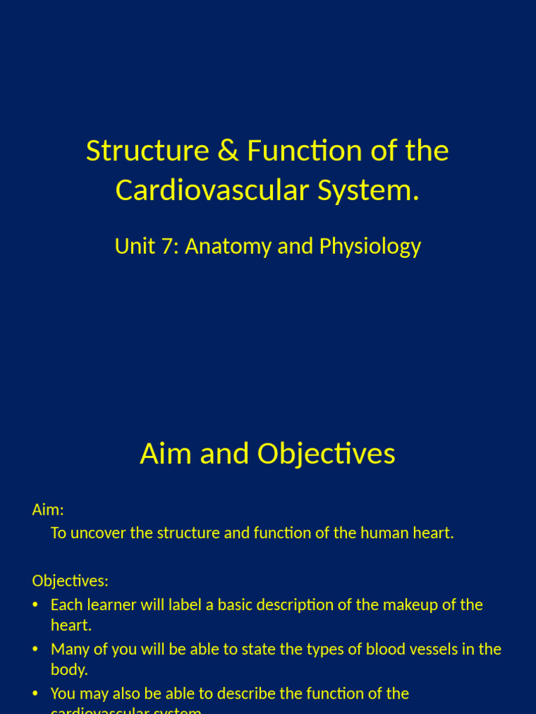 Structure of The Cardiovascular System | PDF