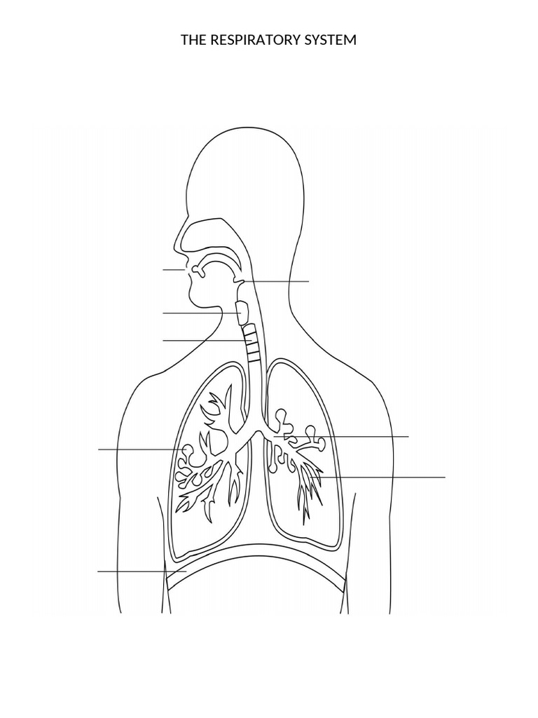 The LUNGS - Unlabelled | PDF