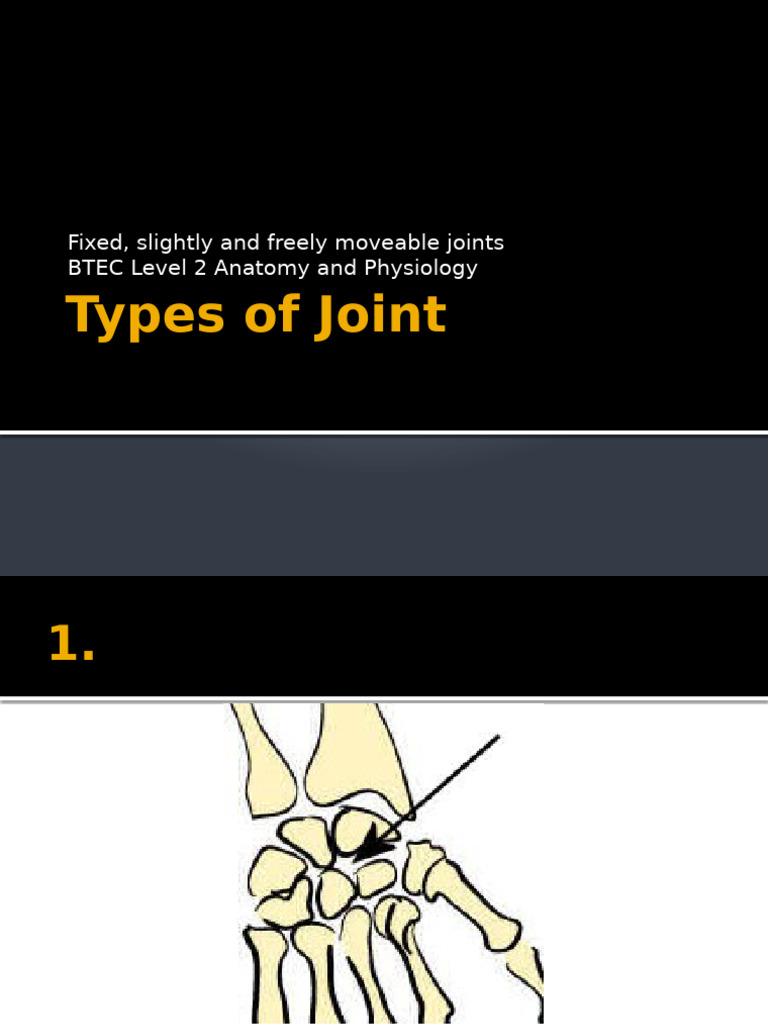 Types of Joint | PDF