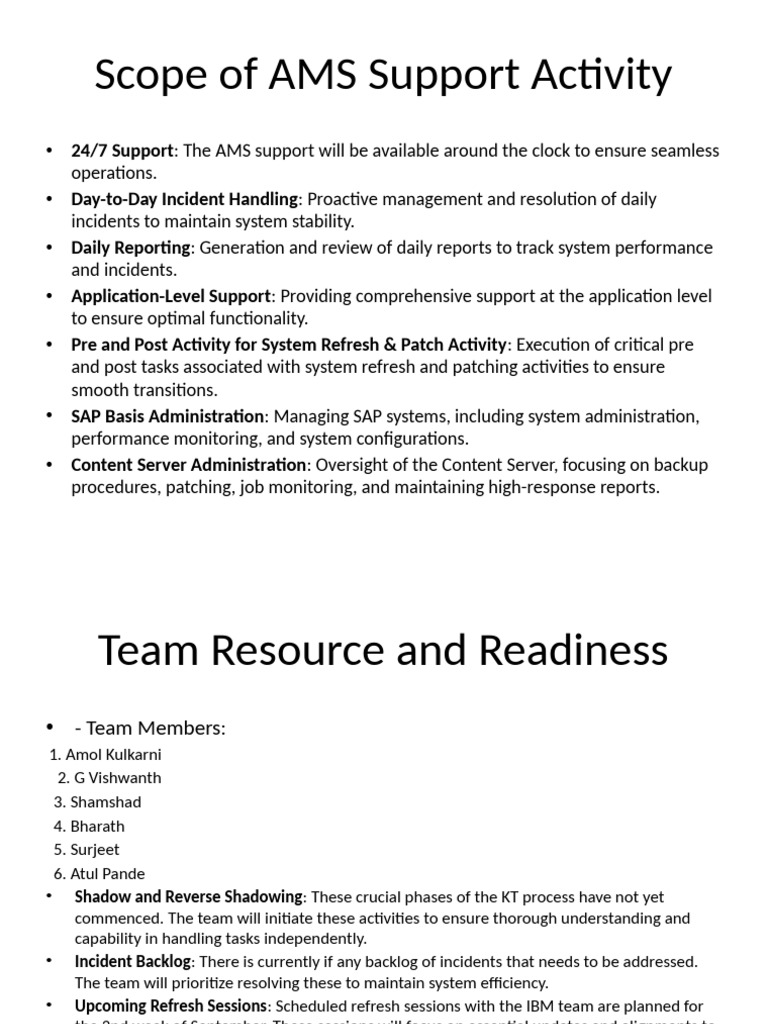 AMS Support Plan Presentation | PDF
