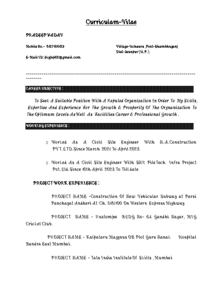 Pradeep Yadav CV 1 | PDF