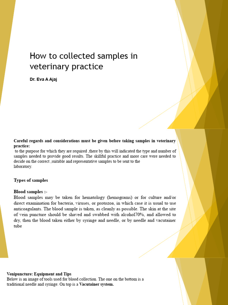 Lecture 1 - How To Collect Samples in Animals | PDF | Vein | Blood Plasma
