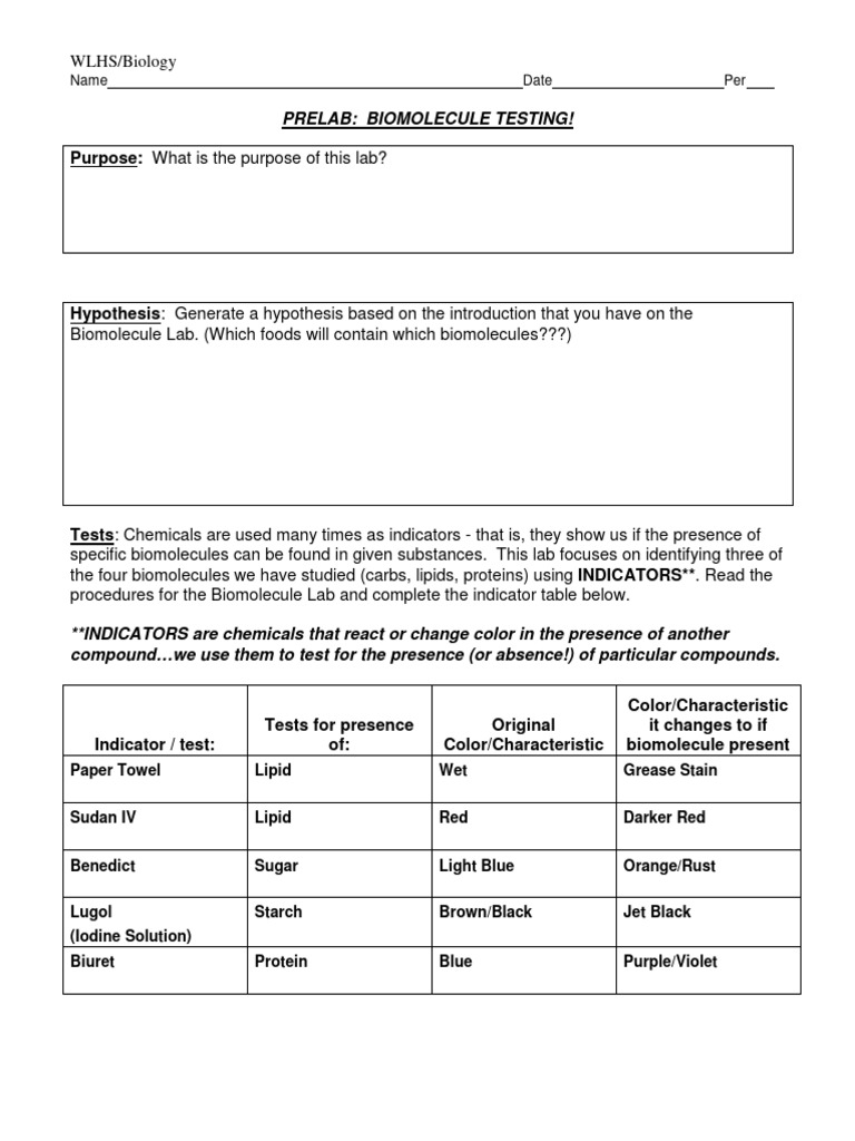 LAB - Biomolecules Testing MAKEUP | PDF