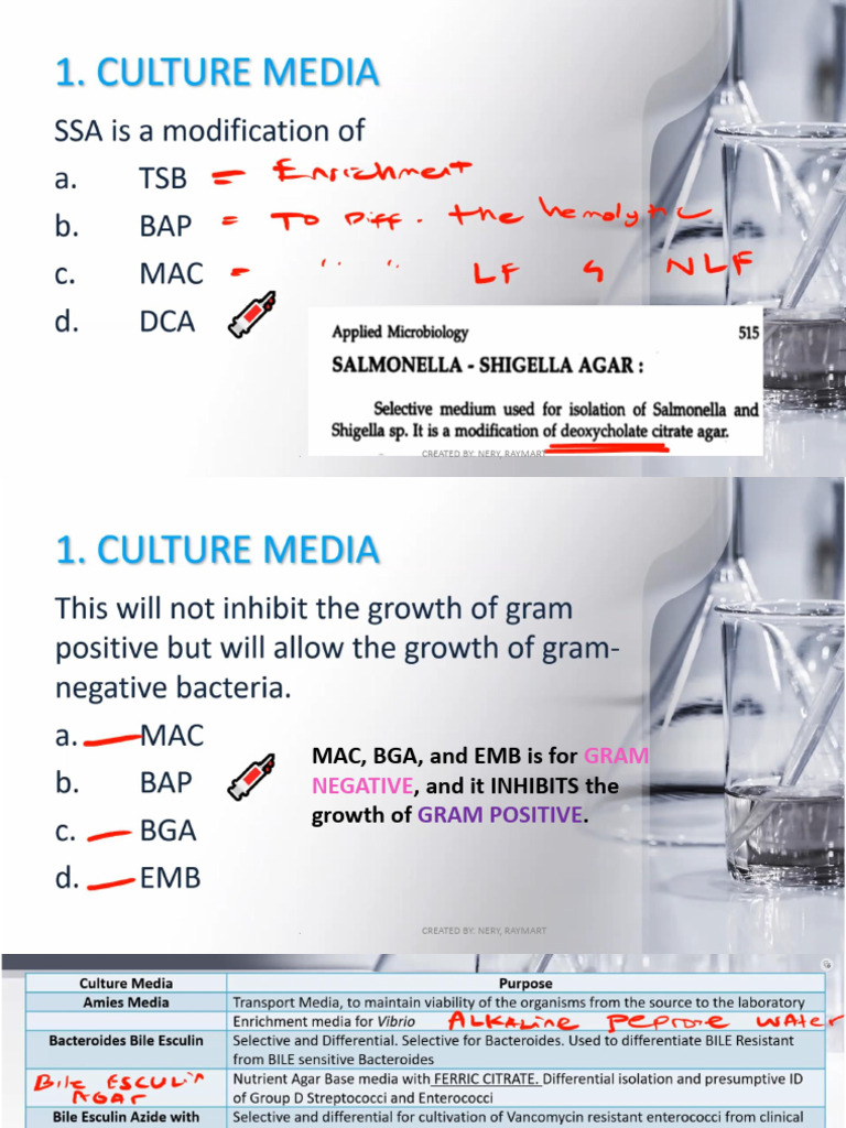 Reinforcement P1 Nery Final | PDF