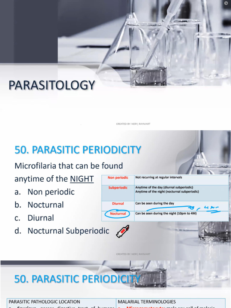 Reinforcement P2 Nery | PDF