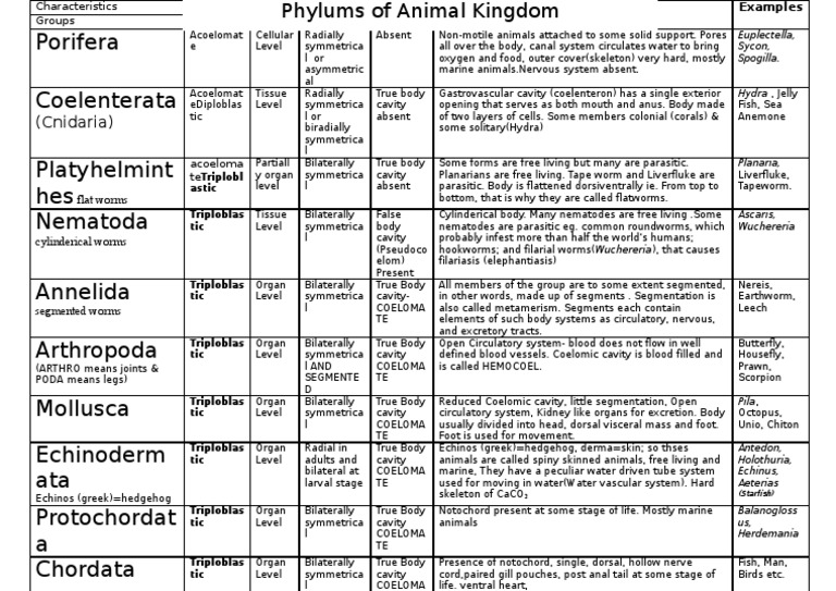 Kingdom Animalia Table