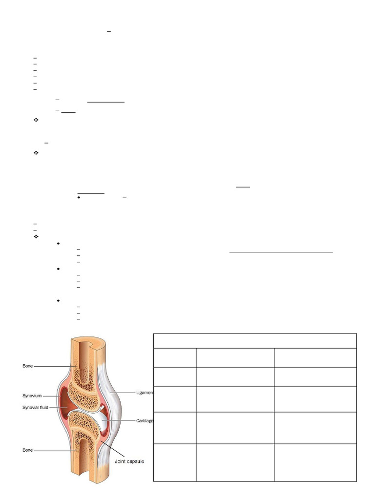 Musculoskeletal System | PDF