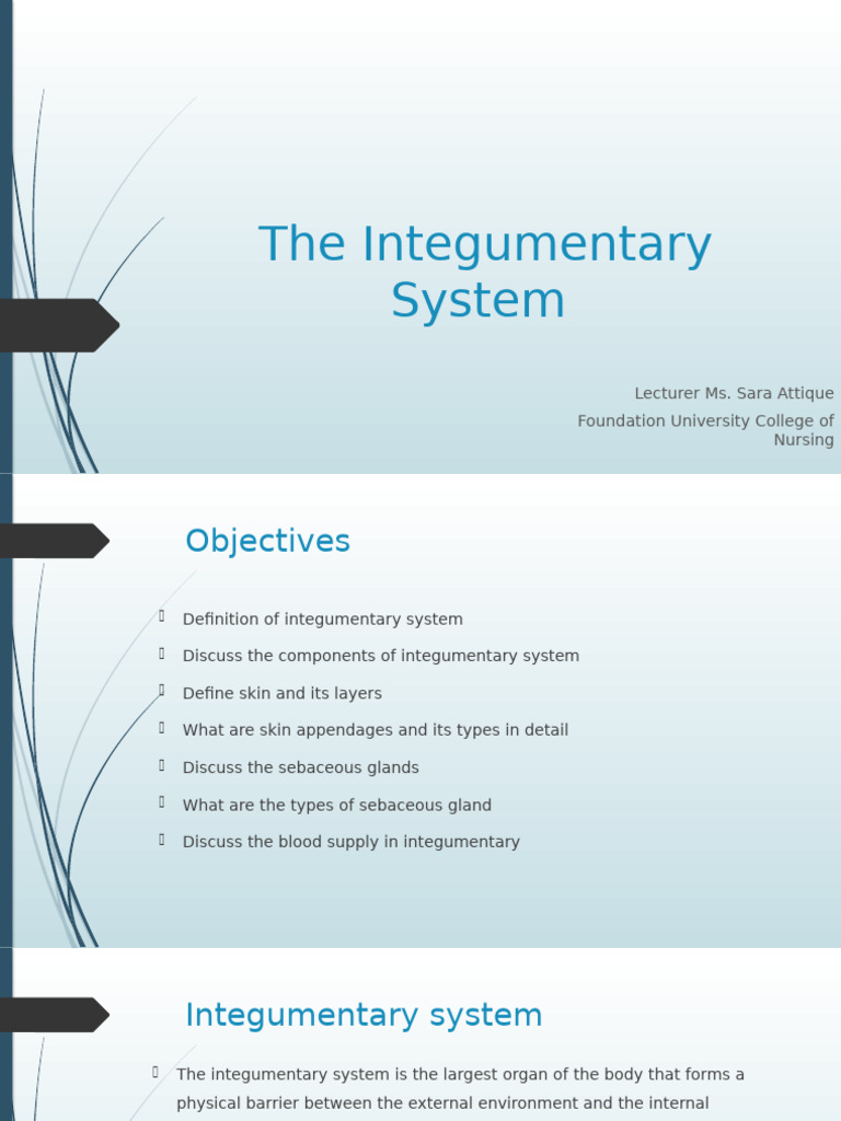 The Integumentary System | PDF