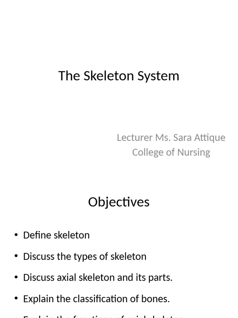 The Skeleton System | PDF