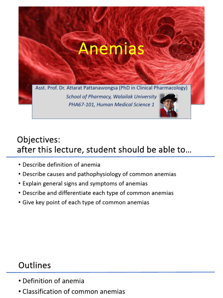 Lecture 19 Anemia - 2024 | PDF