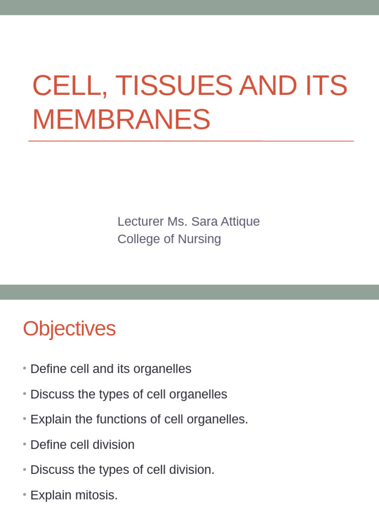 Cell, Tissues and Its MembranesCell, Tissues and Its Membranes | PDF ...