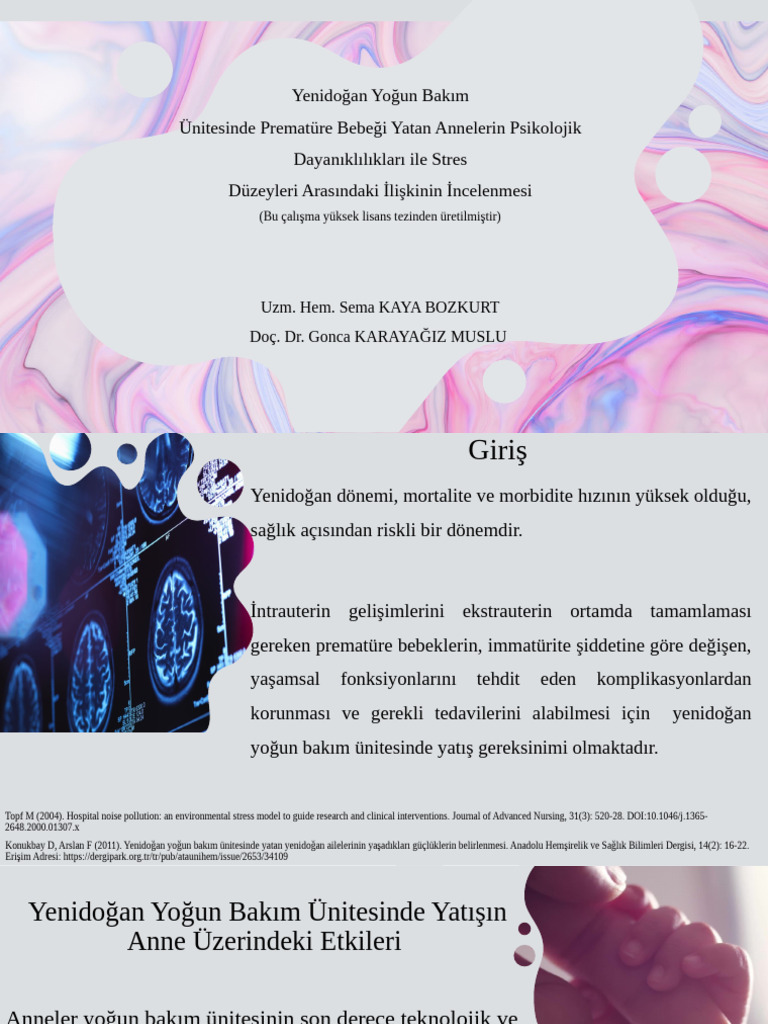 Ege Kongre Sunu Son | PDF