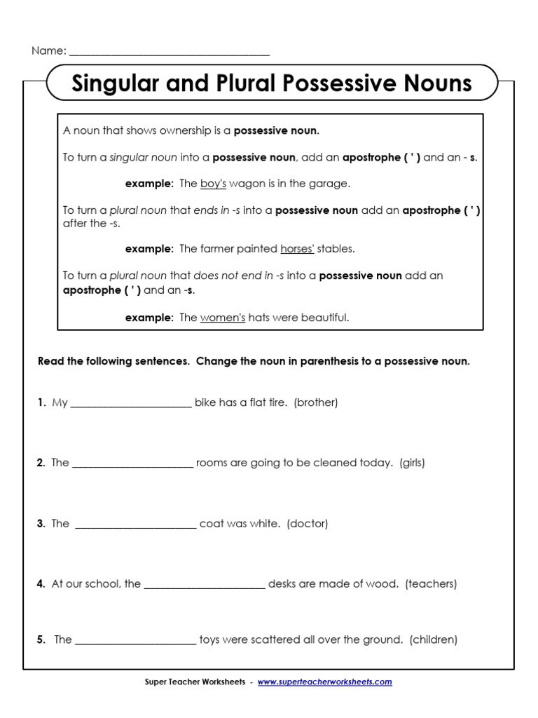 Nouns Singular Plural Possessive Mix | PDF