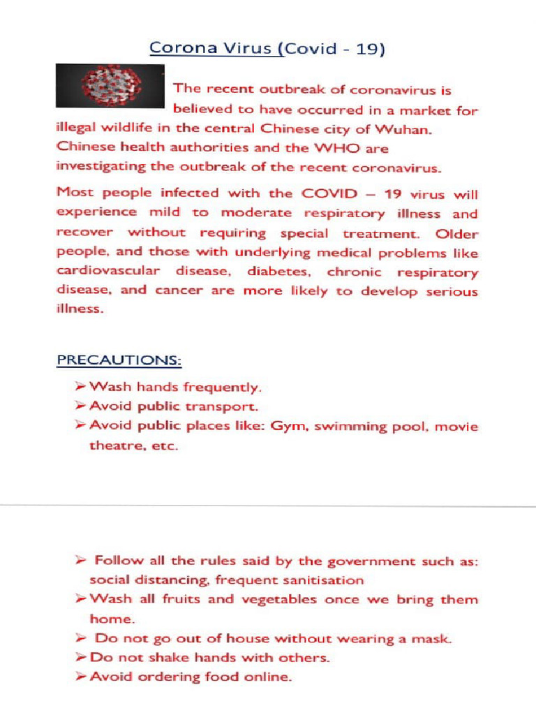 IT Practical File Work | PDF