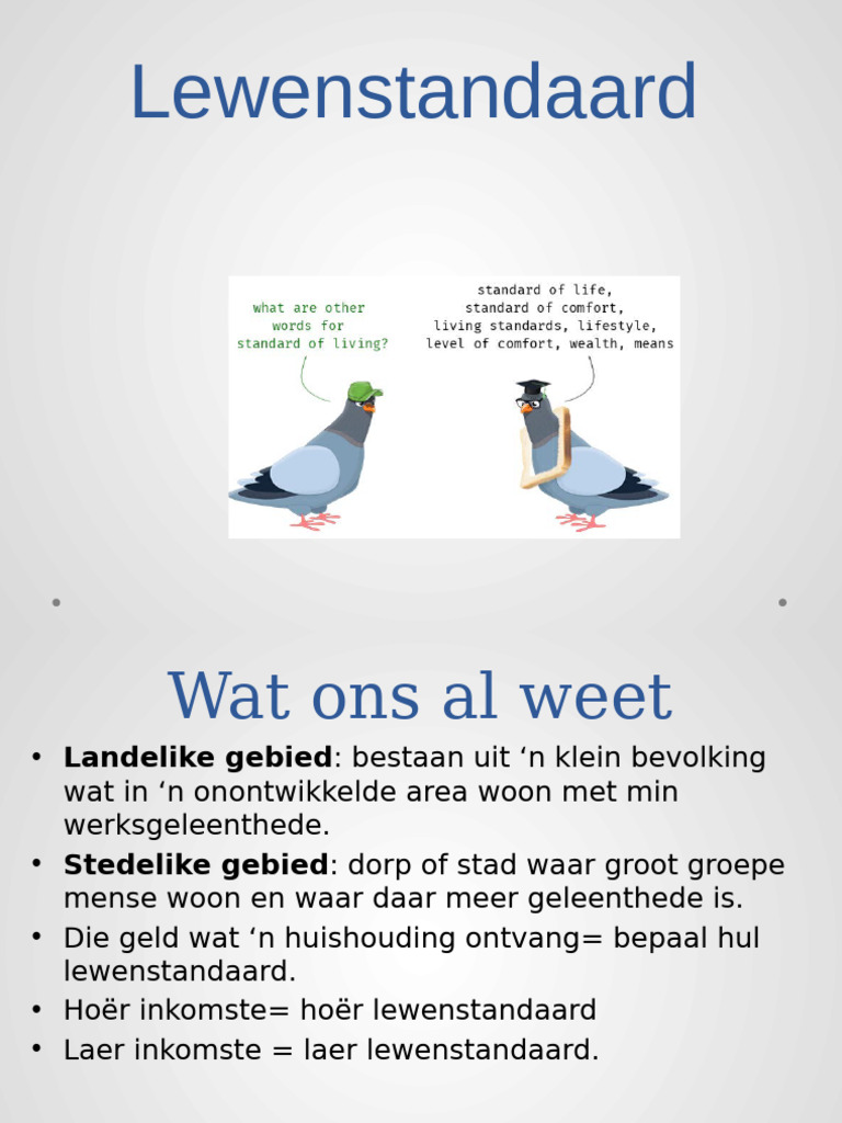 1 Lewenstandaard 2024 | PDF