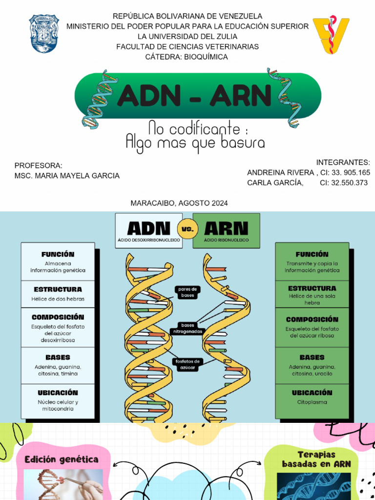 ARN Y ADN No Codificante - 20240918 - 214959 - 0000 | PDF