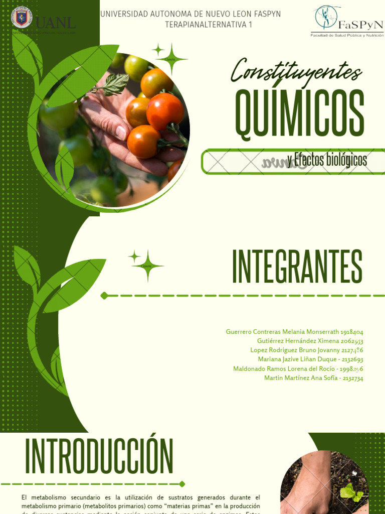 TerapiaAlt. Ev2.2 E#4 20240830 092742 0000 | PDF