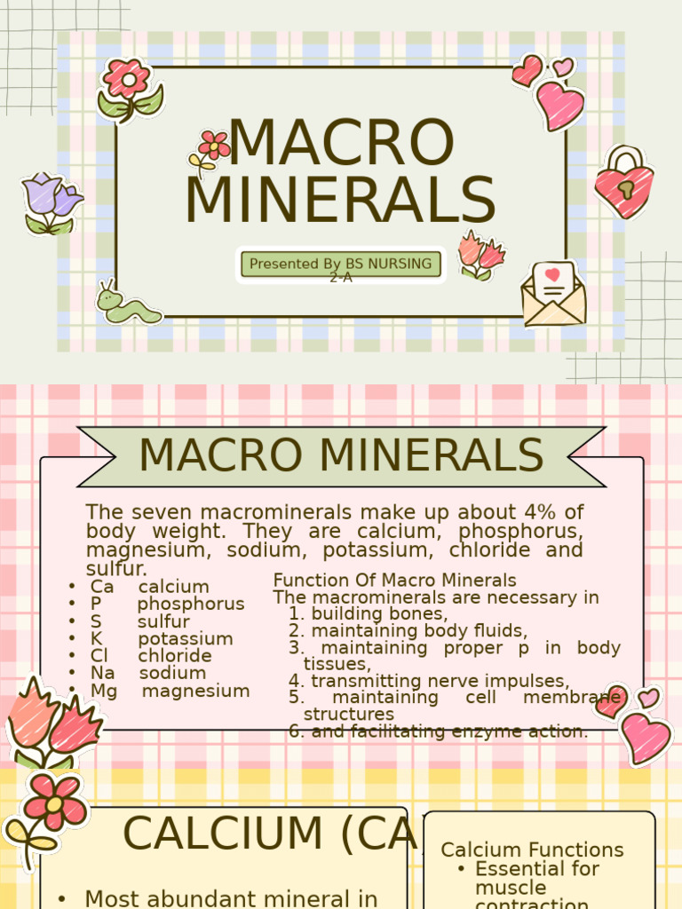 Macro Minerals | PDF