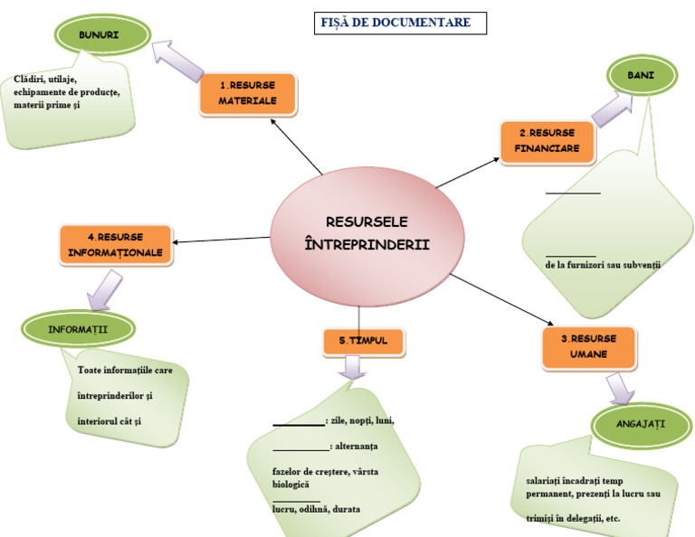 Resursele Intreprinderii - Fisa de Documentare | PDF