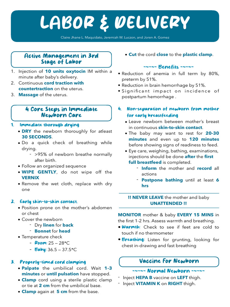 Notes On Labor and Delivery | PDF