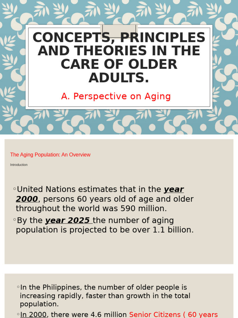 The Aging Population | PDF