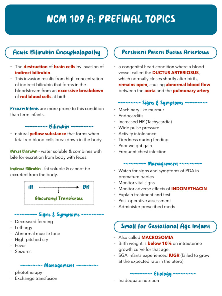 MERLEBELS-Murag-Prefinal-Topic | PDF