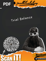 Trial Balance Questions Class11 | PDF