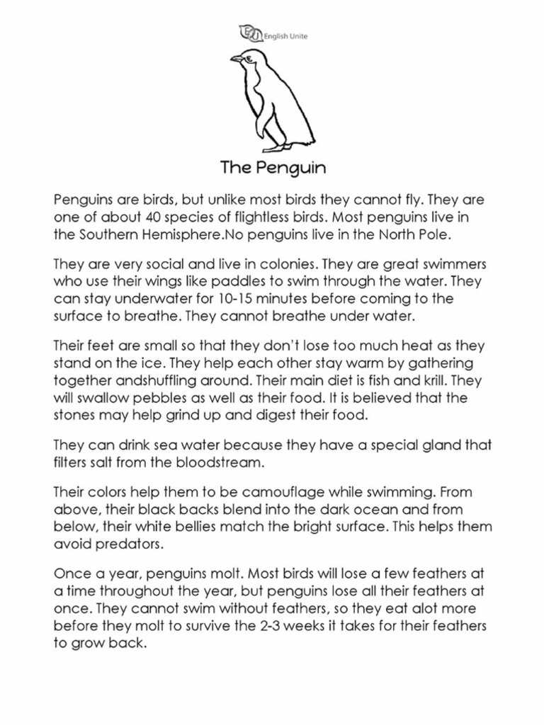 Story 3 | PDF