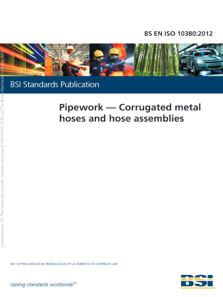 BS en Iso 10380 | PDF