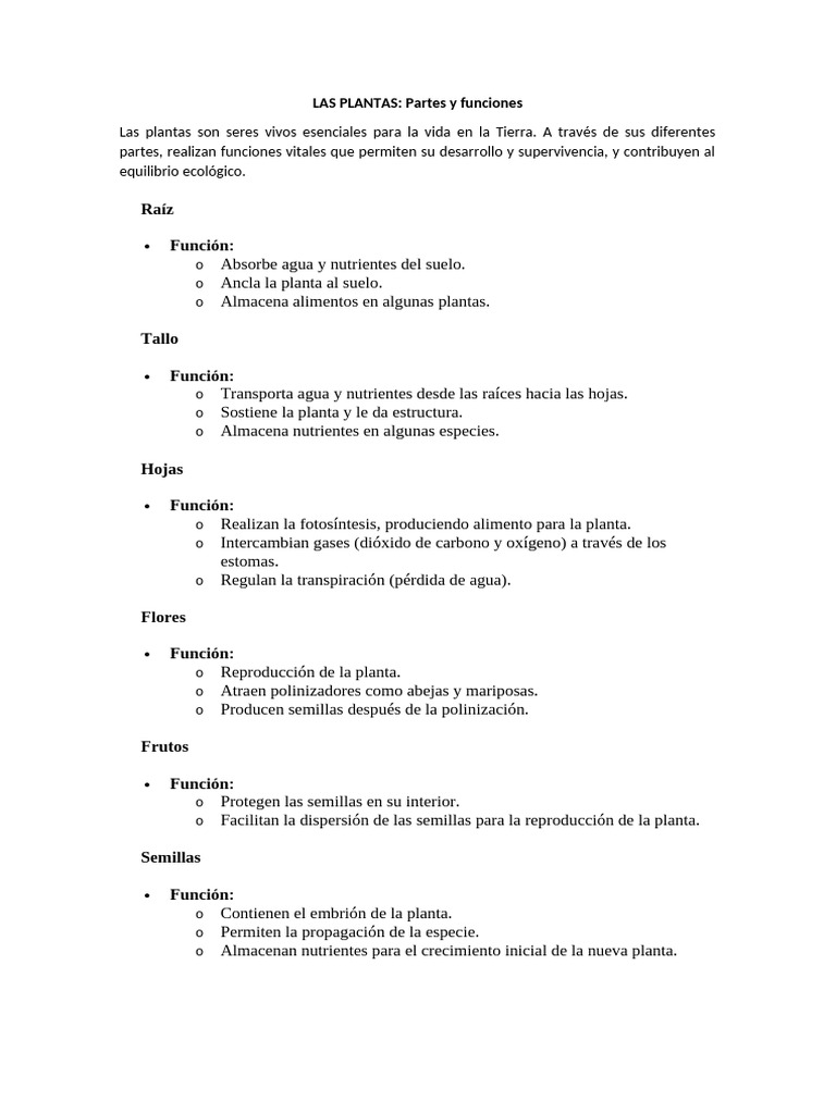 LAS PLANTAS. Partes y Funciones | PDF