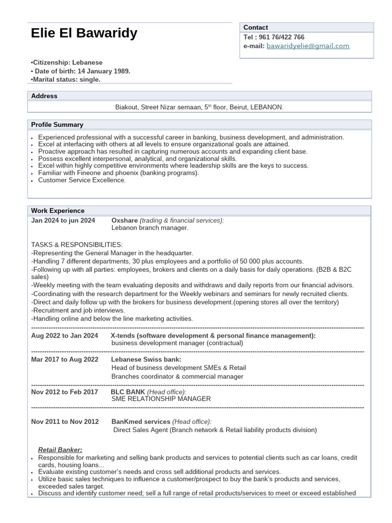 Elie Bawaridy CV | PDF | Banks | Sales