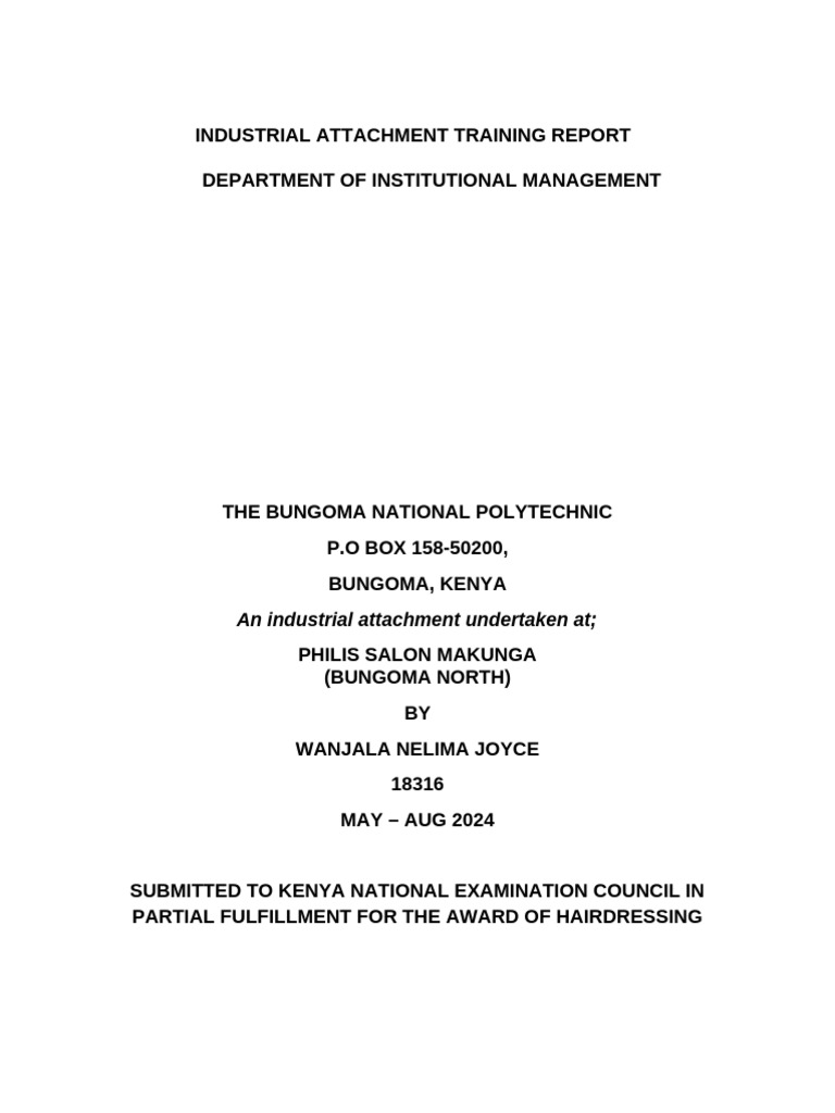 Agnes Nanyama Attachment Report | PDF