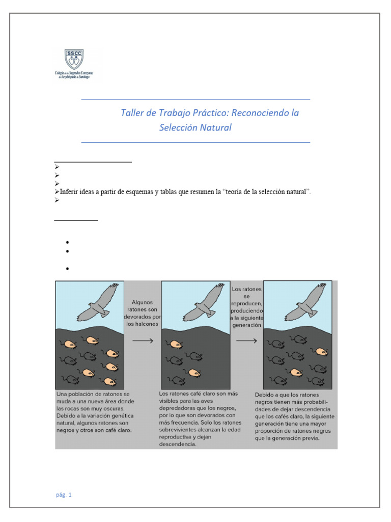 Taller de Trabajo Práctico: Reconociendo La Selección Natural | PDF ...