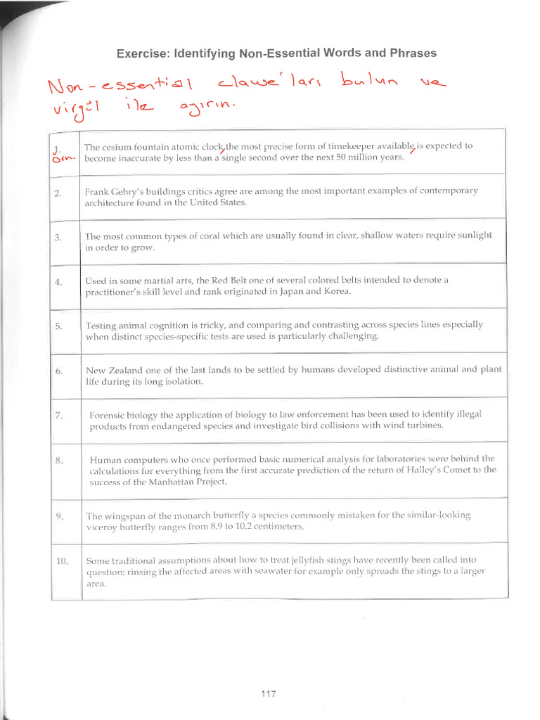 Non+Essential+Clauses+Worksheet 1 | PDF