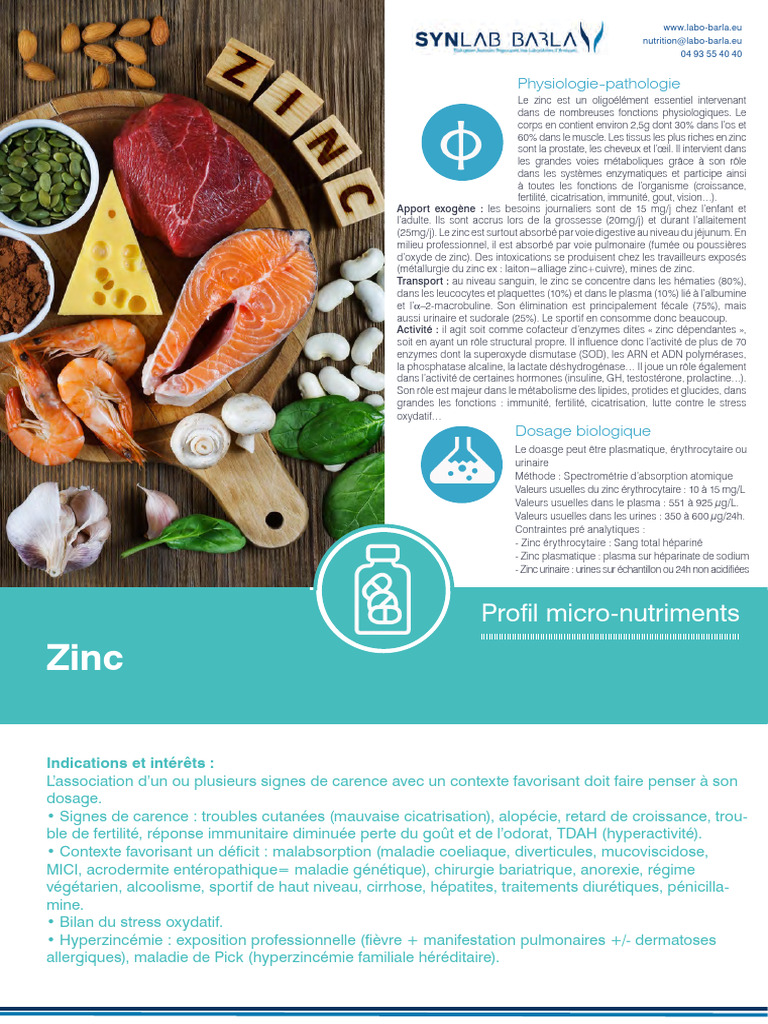 Fiche Zinc | PDF