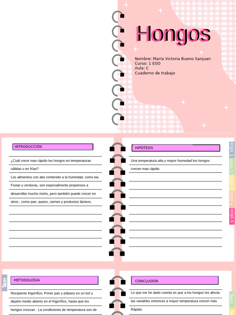 Cuaderno Digital Editable - Rosado | PDF