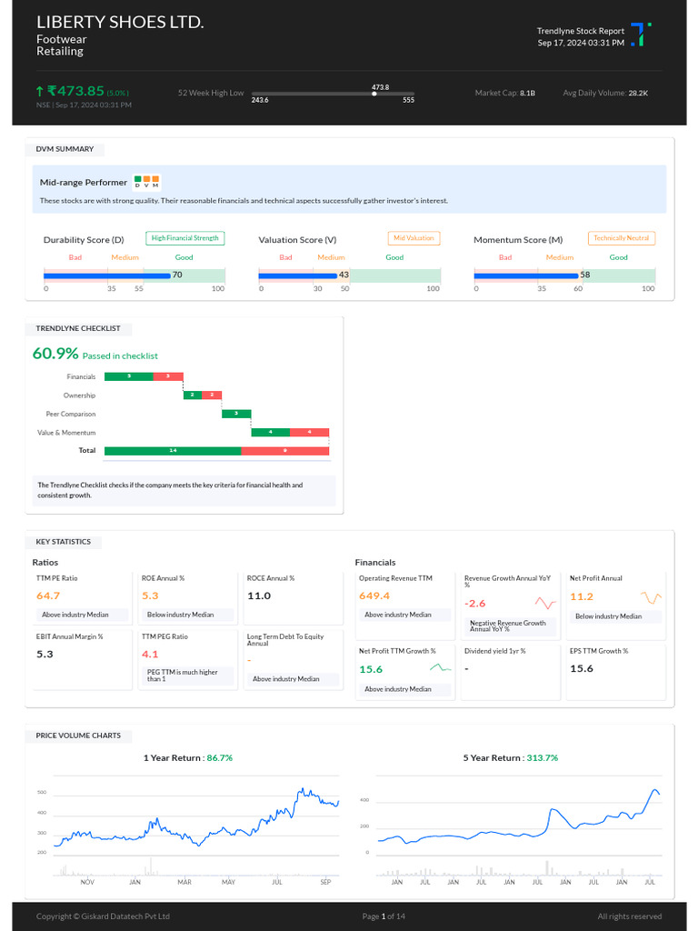 LIBERTSHOE StockReport 20240918 0821 | PDF