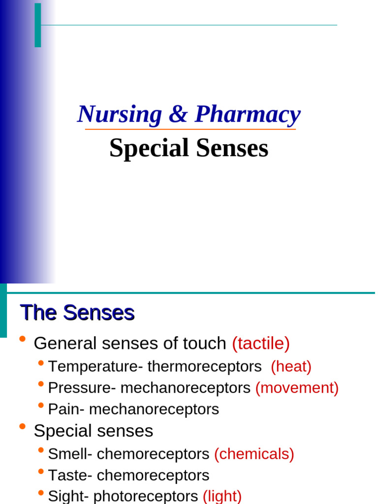 Special Senses-1 | PDF | Taste | Ear