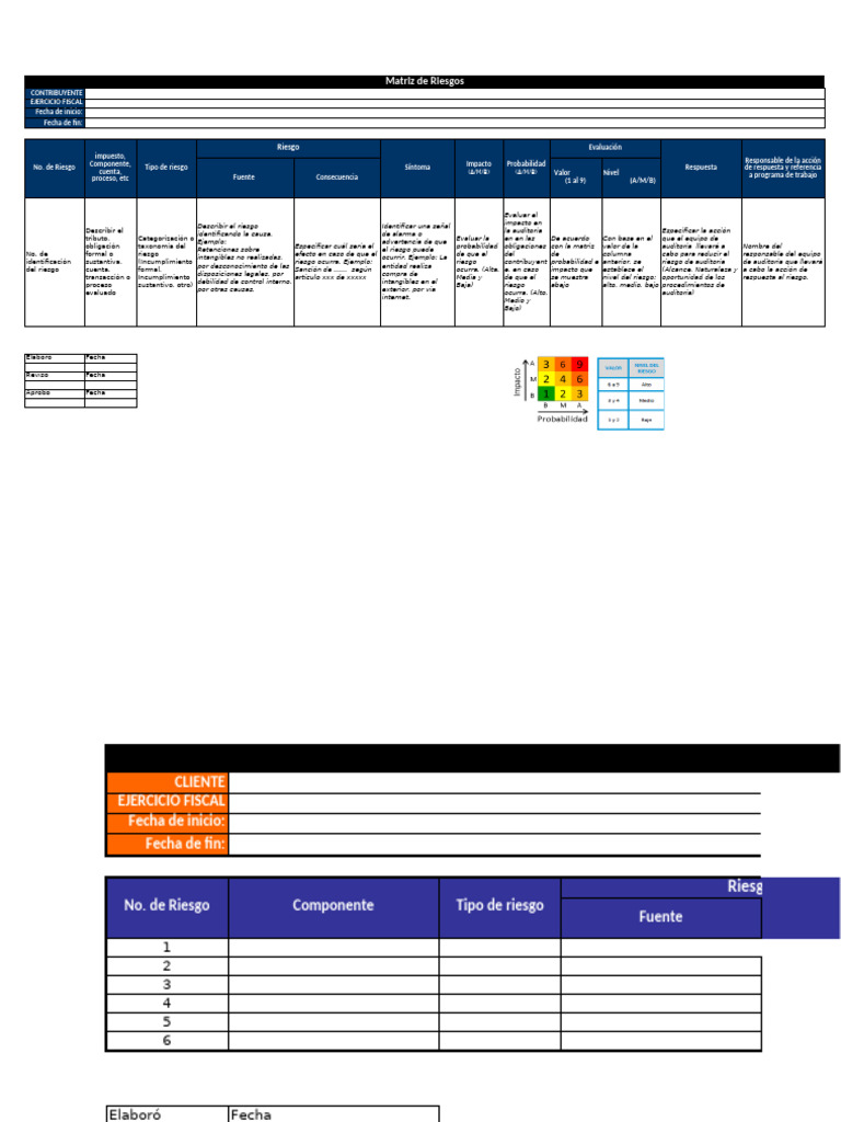 ANEXO - Matriz de Riesgos - Plantilla y Ejemplo en Limpio (Colores) VERSION 2 | PDF | Auditoría ...