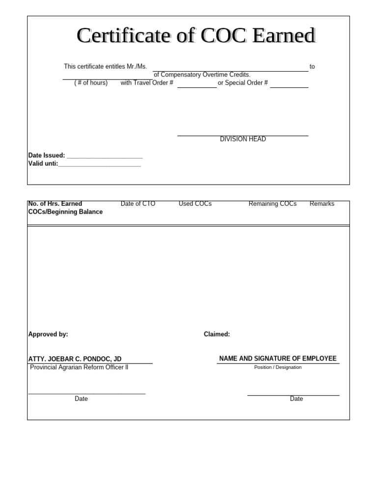 Compensatory Form | PDF