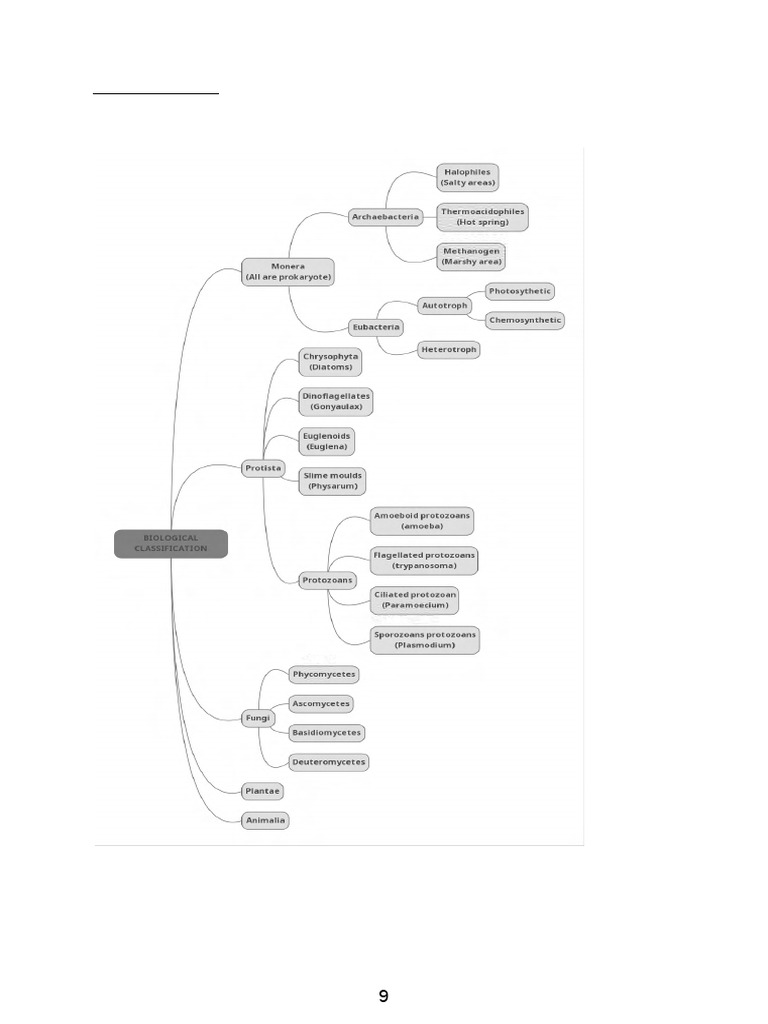 Chapter 2 - Biological Classification | PDF