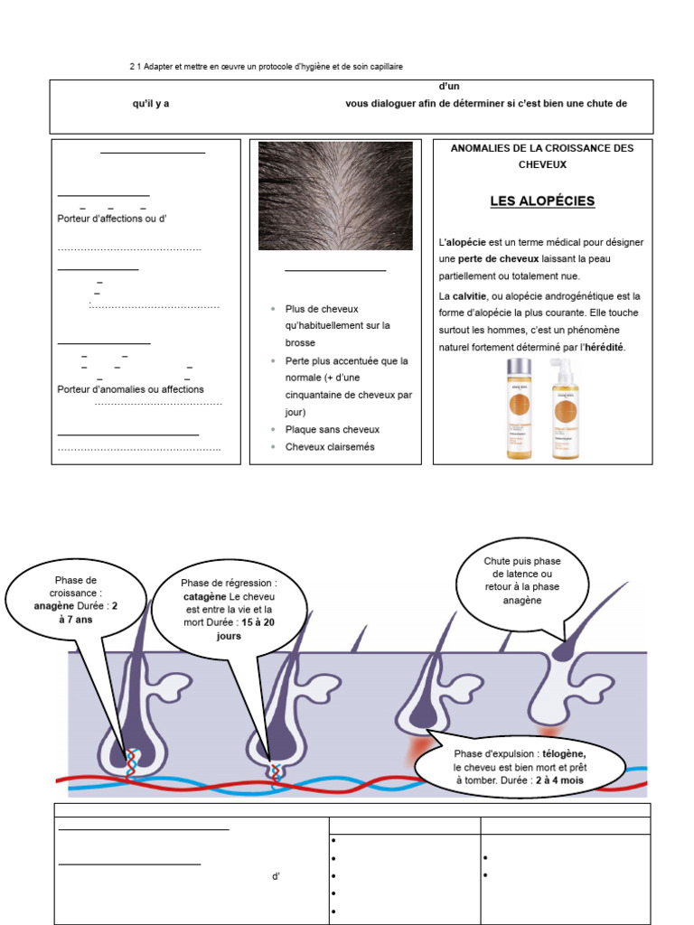 Fiche 6 Shamp Ac | PDF