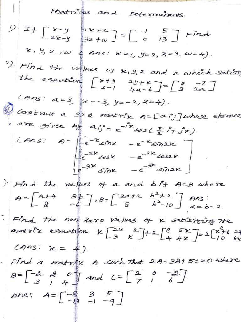 Matrices and Determinants Worksheet (1) | PDF