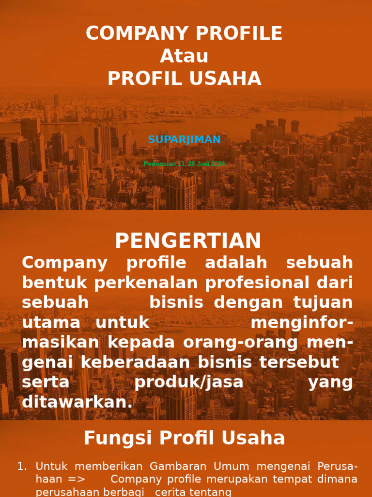 P - 13 Company Profil - Profil Usaha | PDF