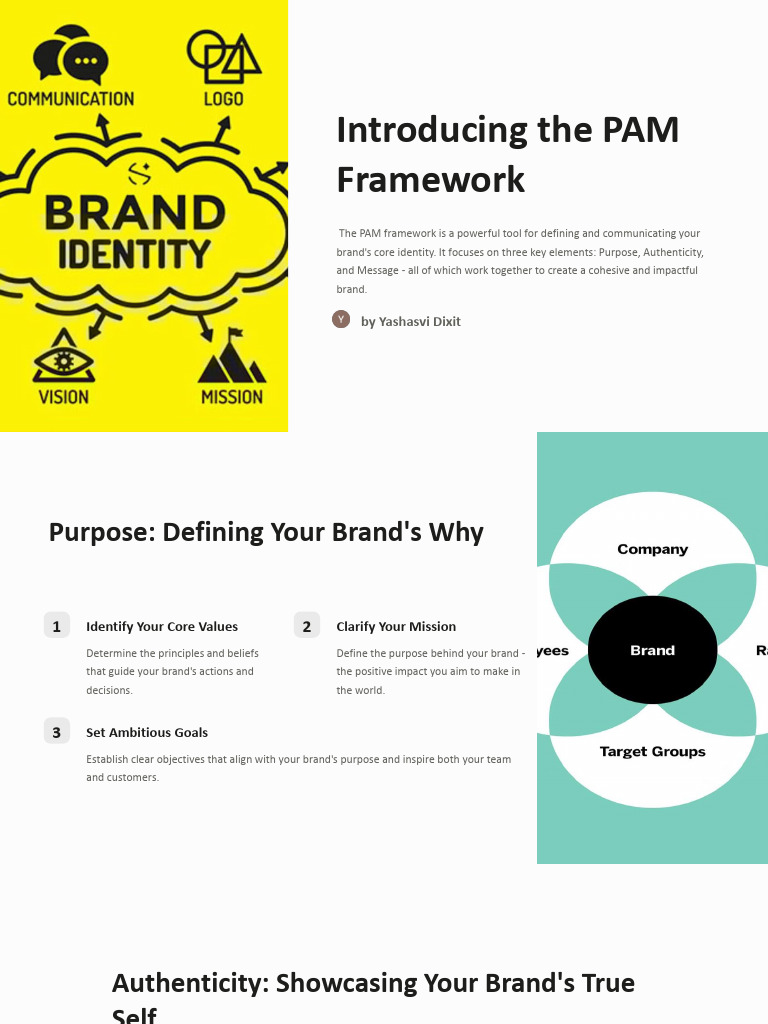 Introducing The PAM Framework | PDF