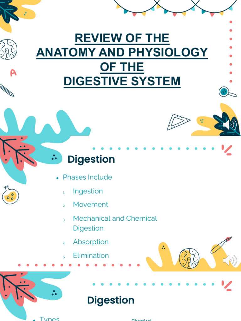 Review of Ana and Physio of The Digestive System | PDF