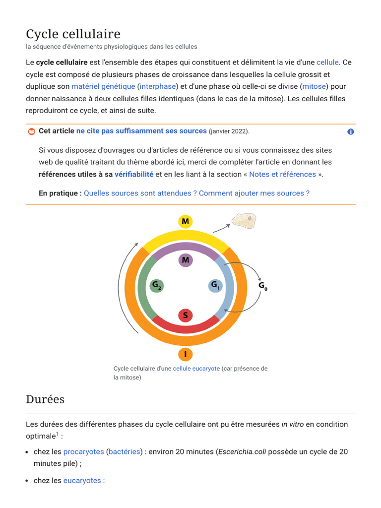 Cycle Cellulaire - Wikipédia | PDF