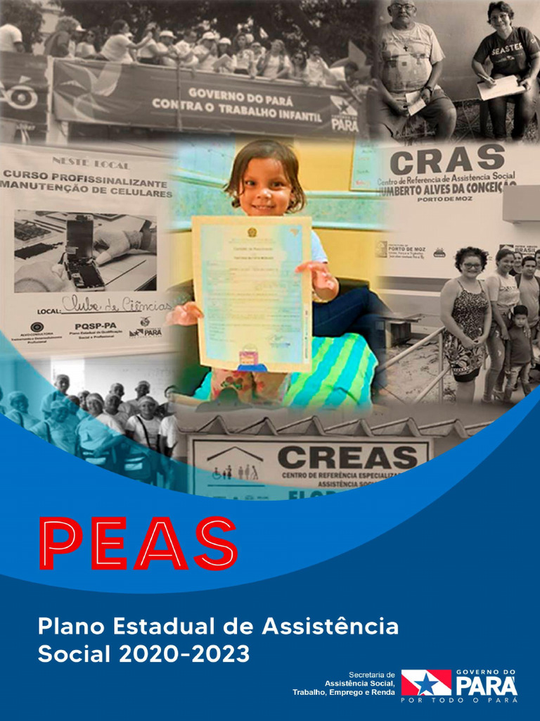Peas Finalizado | PDF