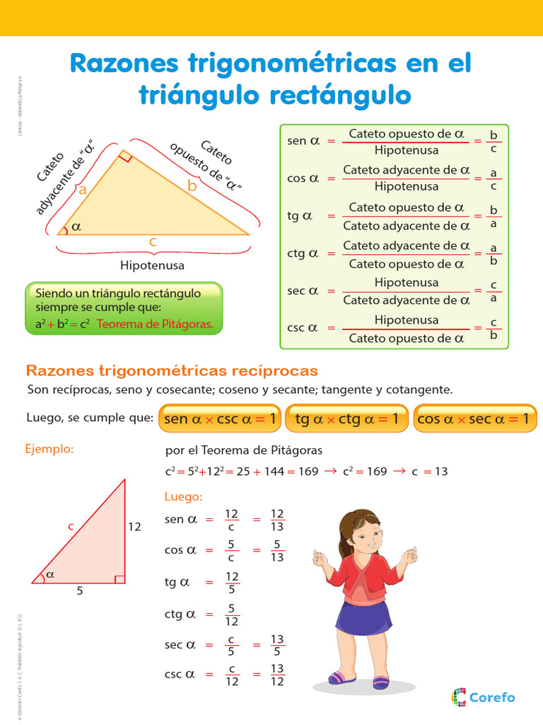 LÁMINA - Razones Trigonométricas de Un Ángulo Rectángulo | PDF | Funciones trigonométricas ...